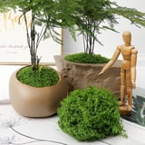 Fake Moss Artificial Plants Decorations Greenery Moss for Potted Plants ...