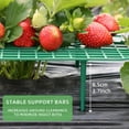 ASDIIT 10pcs Strawberry Plants Supports for Garden Strawberry Growing ...