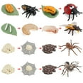 toys under $10 Insect Growth Cycle Ornaments Spider-star Tarantula Bee ...