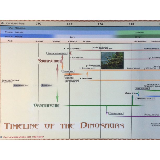 Timeline of the Dinosaurs Laminated Panoramic Poster - Walmart.com