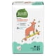 Seventh Generation Free & Clear Size 4T/5T (XL), 38+ lbs Potty Training ...