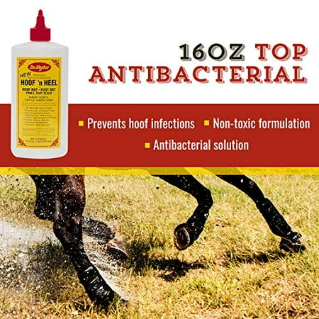 Dr. Naylor Hoof N Heal, Hoof Rot Foot Rot Wound Care, 16oz, Sheep Goat ...