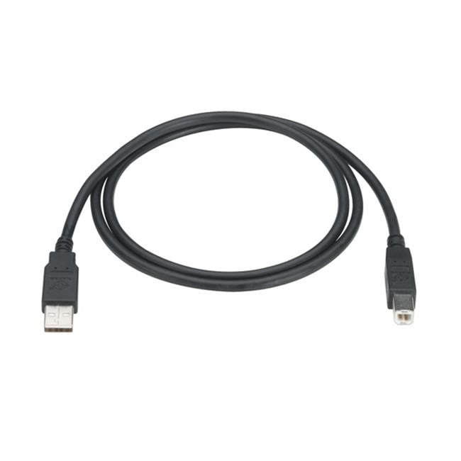 Black Box Network Services USB05-0010 Type A-B Universal Serial Bus 2.0 ...