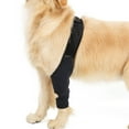 Dog Recovery Sleeve Front Rear Leg Support Brace for Injury Sprain ...