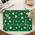Festive St. Patrick's Day Table Mats, 12x18 Inch Water-Resistant ...