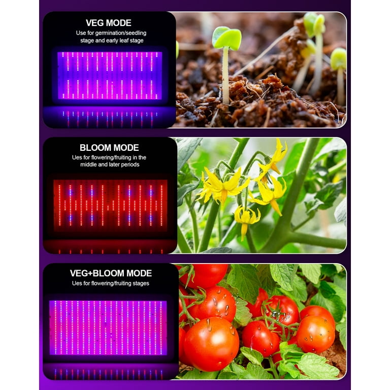 KOSCHEAL LED Grow Light Full Spectrum with Samsung LM 301B KOSCHEAL LED Grow Light Full Spectrum with Samsung LM 301B