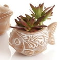 Mini Terracotta Fish Frog Turtle Pot Set - Walmart.com