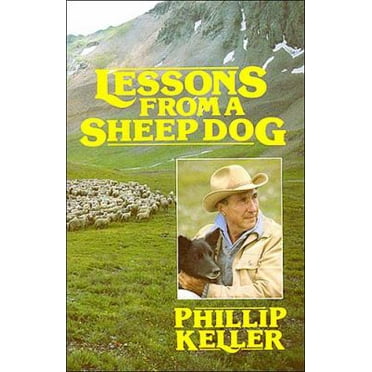 Go to Sleep, Sheep! (Board Book) - Walmart.com