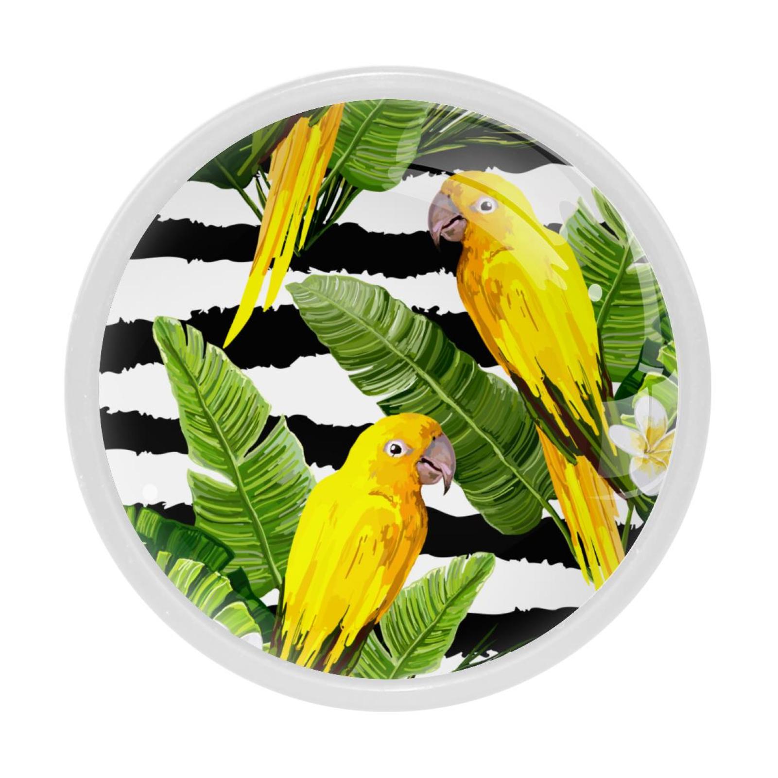 4 Pcs Parrot Knobs for Kitchen Cabinet Cupboard Dresser Bookcase Drawer ...