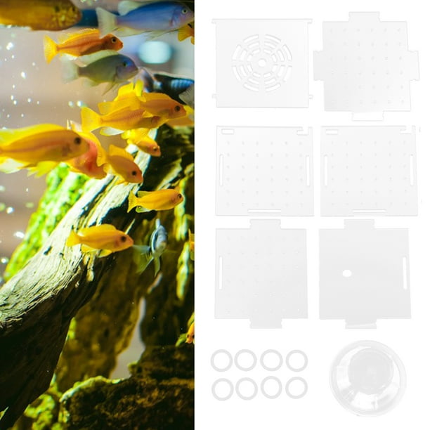 Fish Breeding Box, Convenient In-water Isolation Breeding Box Sucker ...