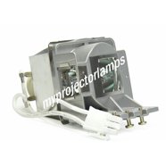 Nec Display np33lp Replacement Lamp - Walmart.com