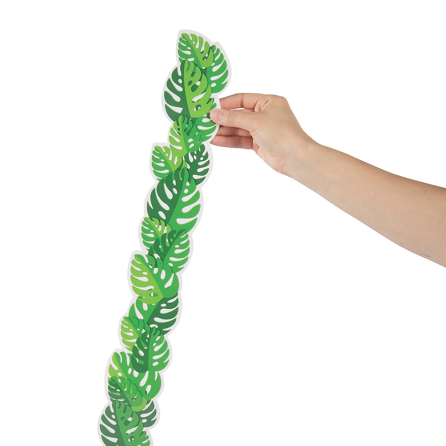 Tropical Leaves Bulletin Board Borders, Educational, Philippines | Ubuy