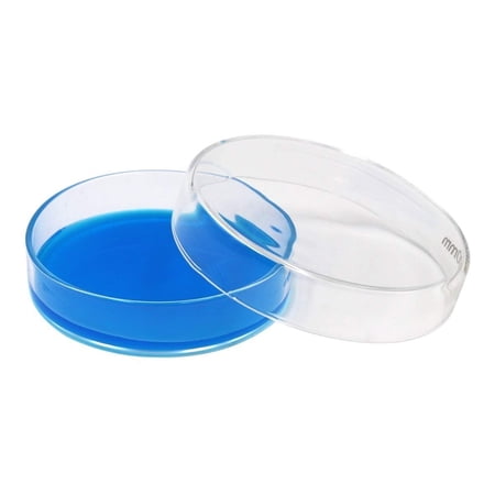 Lab Glass Petri Dish with Lids Petri Dish Kit Tissue Culture Plate for ...