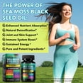 Sea Moss Capsules with Black Seed Oil, Immune, Gut & Energy Support ...