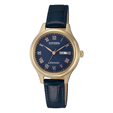 Citizen Silver Dial Eco-drive Ladies Watch EM0682-74A - Walmart.com