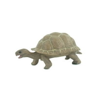 Tortoise, Museum Quality, Educational, Hand Painted, Rubber, Galapagos ...