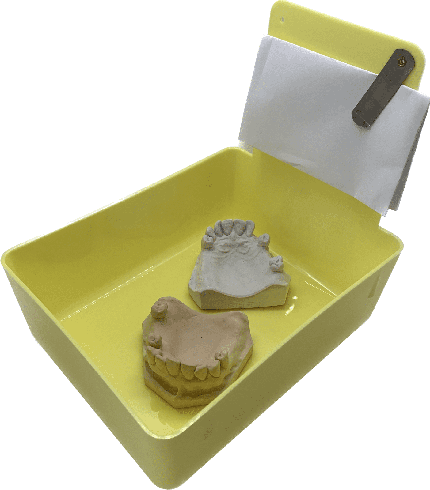 Dental Lab Pan Yellow 12/box High Quality Color Coded organization ...