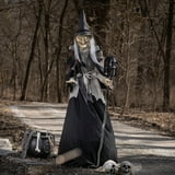 Seasonal Visions Animated Lunging Haggard Witch Halloween Decoration ...