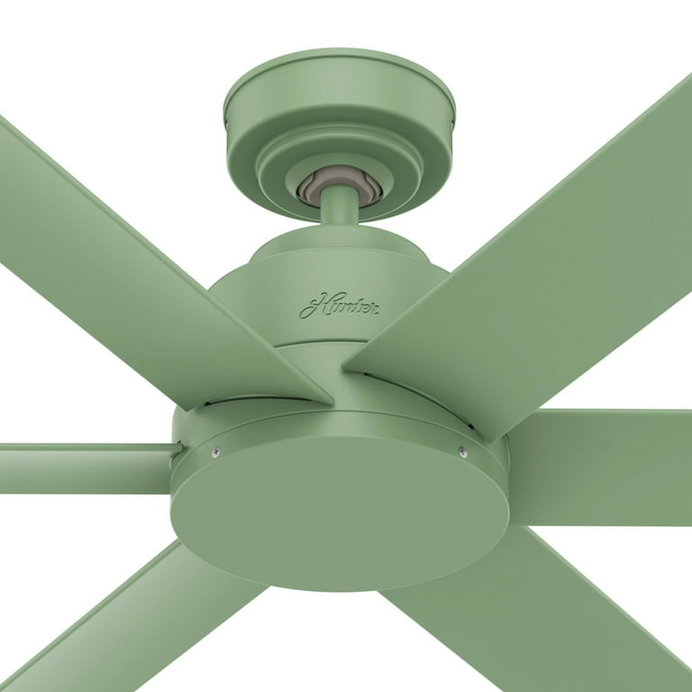 Green Ceiling Fan Hunter | Shelly Lighting