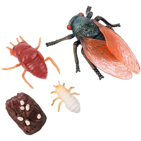 Swan Life Cycle Swan Figurine Swan Growth Cycle Figurine Black Swan ...