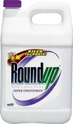 Roundup Super Concentrate Herbicide - Walmart.com