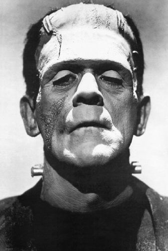 Frankenstein Poster 1931 Portrait Picture New 24x36 - Walmart.com