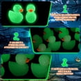 80 count Luminous Halloween Mini Skeleton Duck Spooky Skeleton Duck ...