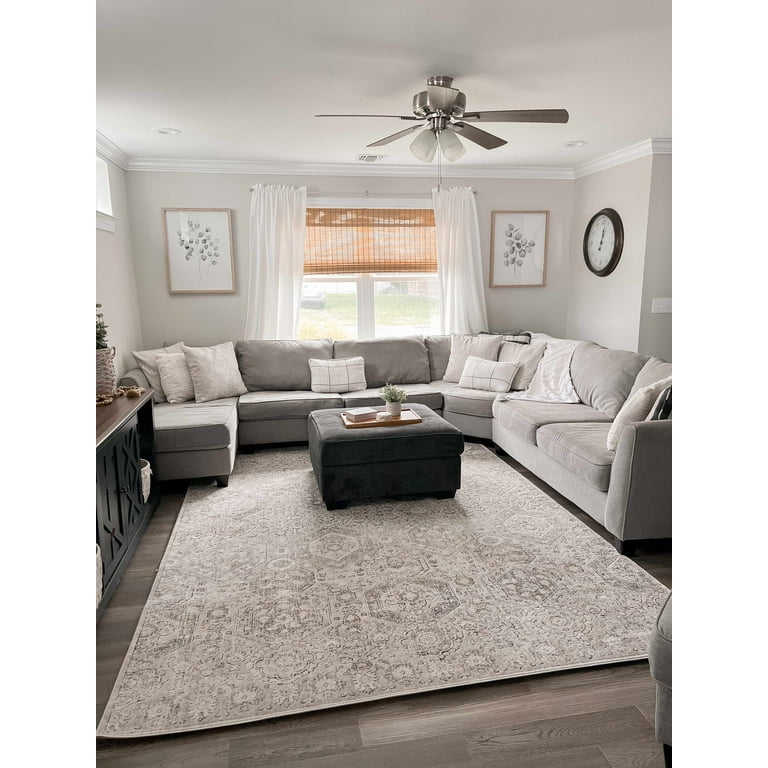 Hauteloom Parkerfield Area Rug 6 7 x 9 Rectangle