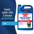 BioAdvanced All-In-One Rose & Flower Plant Care, 1 Gal, Pest & Disease ...