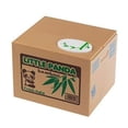 Little Panda Coin Stealing Money Piggy Bank - Walmart.com