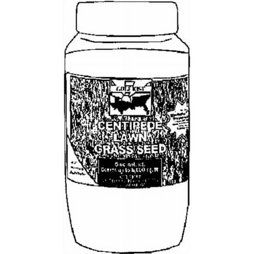 TifBlair Centipede Grass Seed (1 Lb.) from Patten Seed Company, Ideal ...