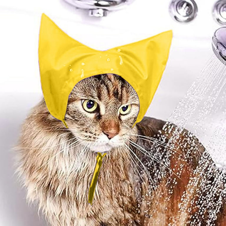 Cat Rain Shower