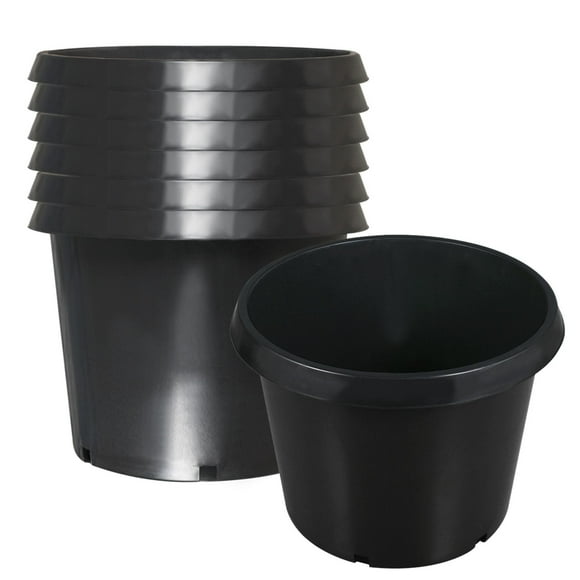 20 Gallon Pots Plants