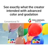 Sony 55" Class XBR55X800H 4K UHD LED Android Smart TV HDR BRAVIA 800H ...