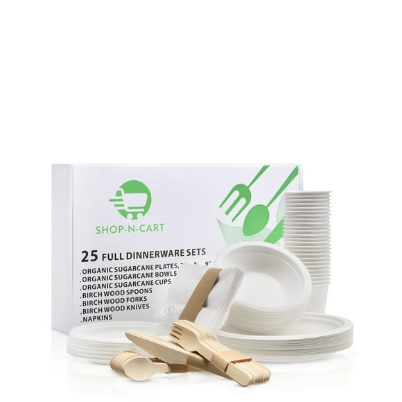 Picnic Dinnerware Sets