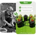 5Buckets DWC Hydroponics Growing System,5Gallen Deep Water Culture with ...