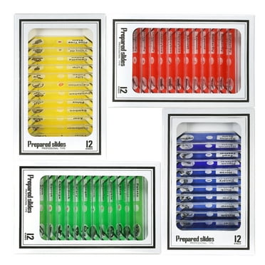 AmScope 10 Prepared and Blank Microscope Glass Slides - Walmart.com