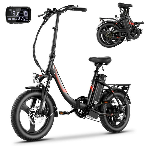 Folding Electric Bike