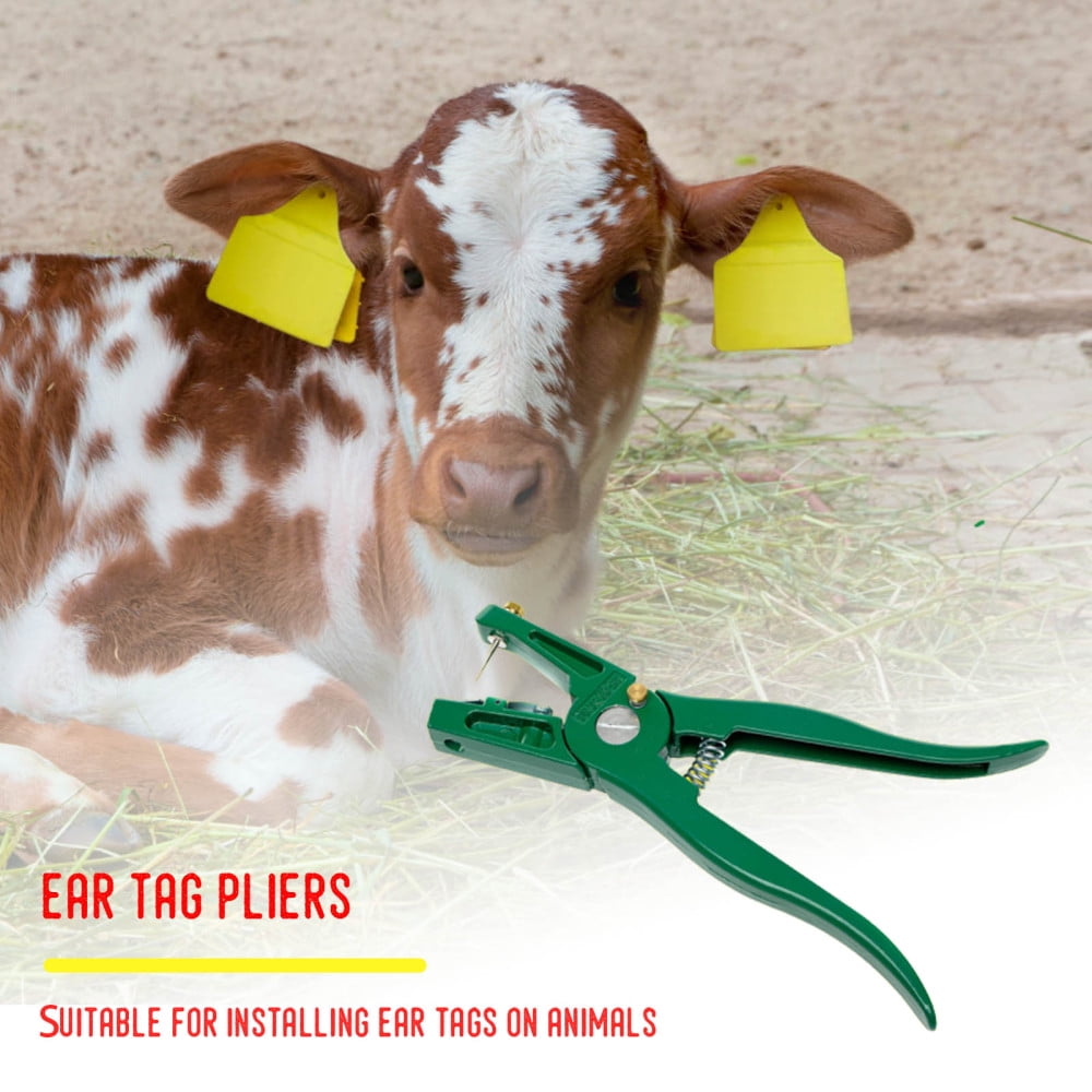 Universal Livestock Ear Tag Applicator Wear-Resistant Simple To Operate ...