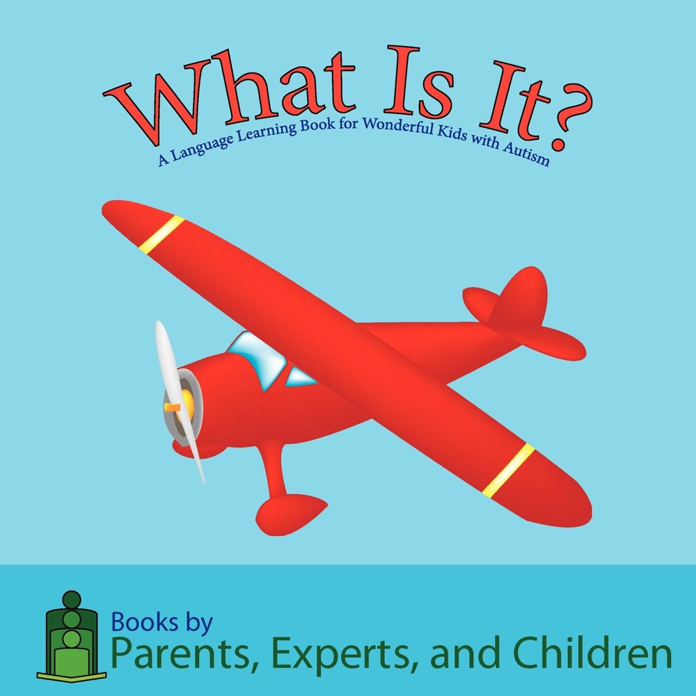 What Is It? : A Language Learning Book for Wonderful Kids with Autism ...