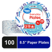 Great Value Uncoated Paper Plates, 9 Inch, White, 300 Count - Walmart.com