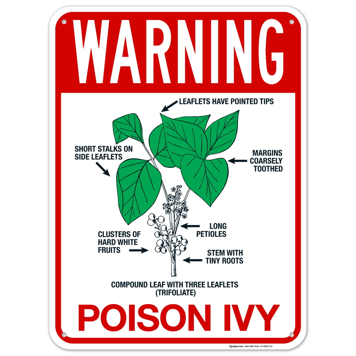 Warning Poison Ivy Sign, - Walmart.com
