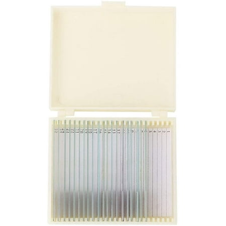 20 Slides Of Biology And Pathology, Prepared Microbiological Bacterial ...