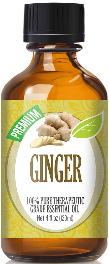 Ginger Essential Oil - 100% Pure Therapeutic Grade Ginger Oil - 120ml ...