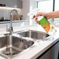 Electrolyzed Ion Kitchen Cleaner Spray, Multi-Purpose Degreaser for ...