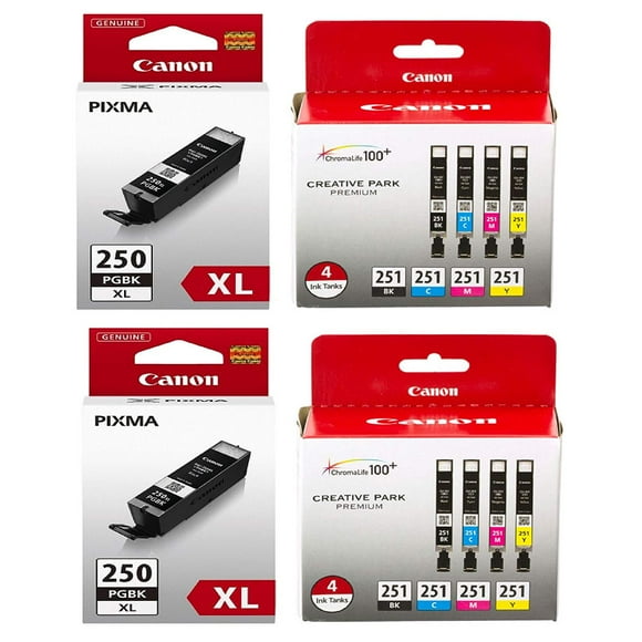 Canon Ink 250 251 Cartridges