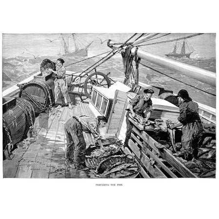 Cod Fishing, 1891. /Nfishermen On The Grand Banks Off The Coast Of ...