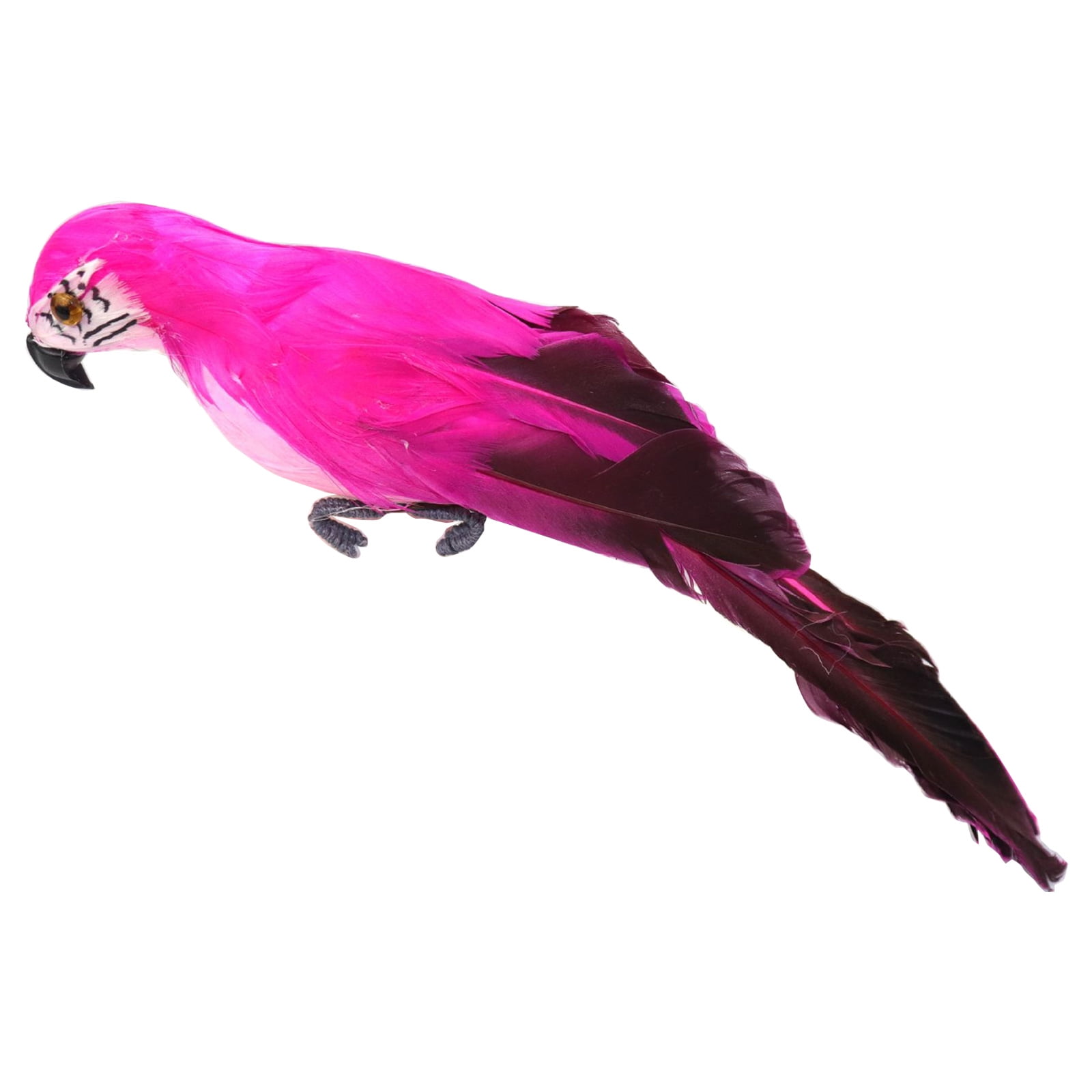 Pink And Blue Parrots