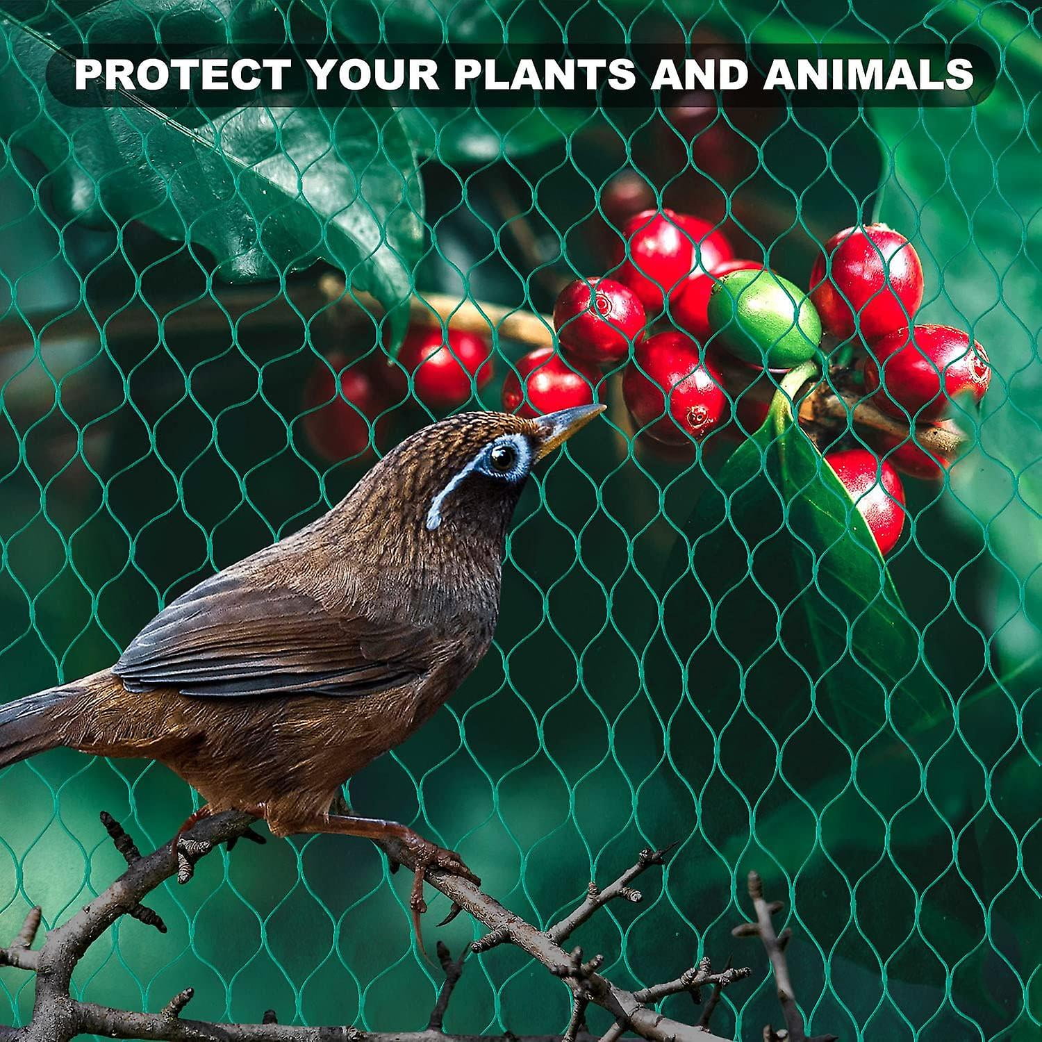 Click here for Chenyihong Bird Netting For Garden  13 X 33ft Anti... prices