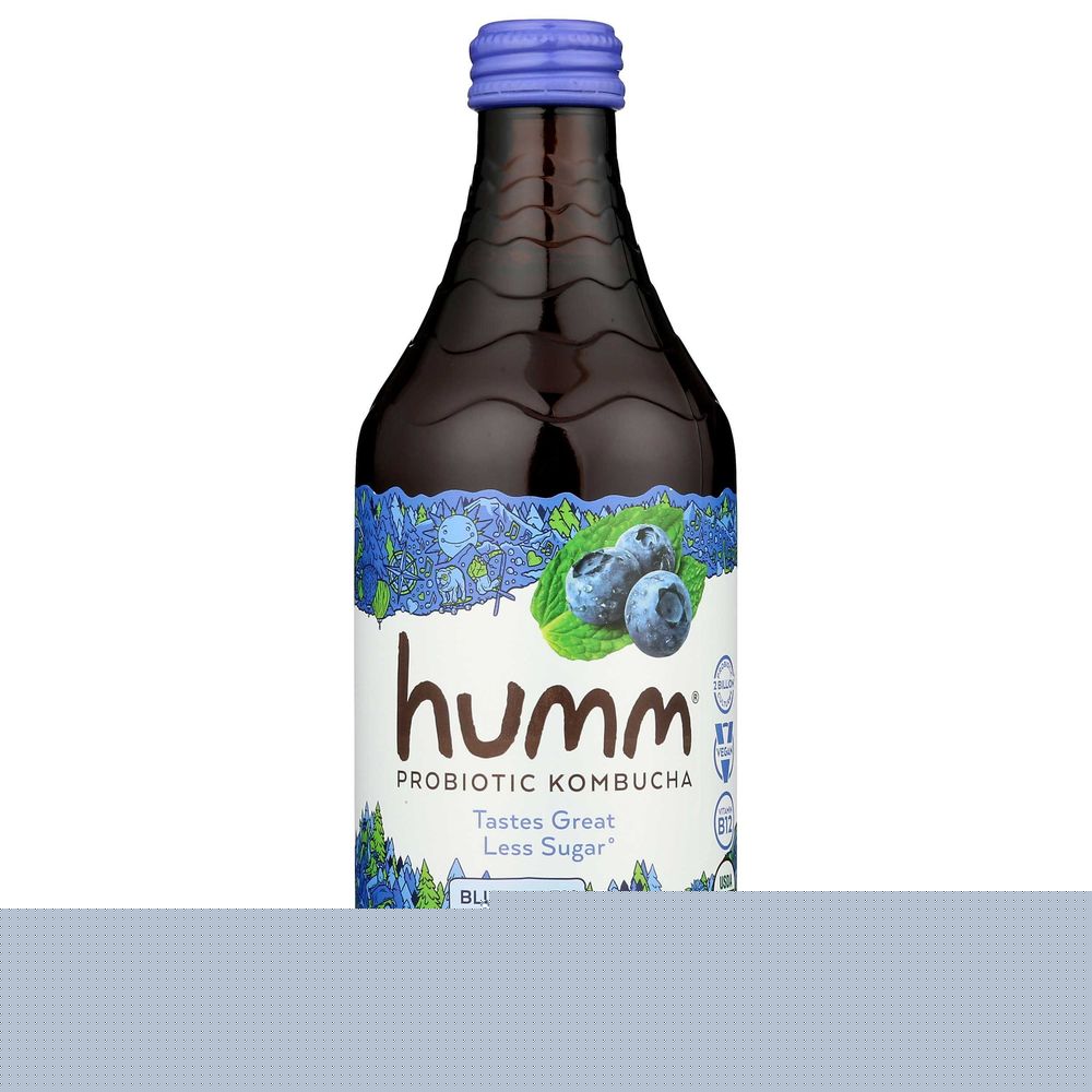 Humm Kombucha, Mango Passionfruit, 12 Pack, 12 oz Cans - Walmart.com